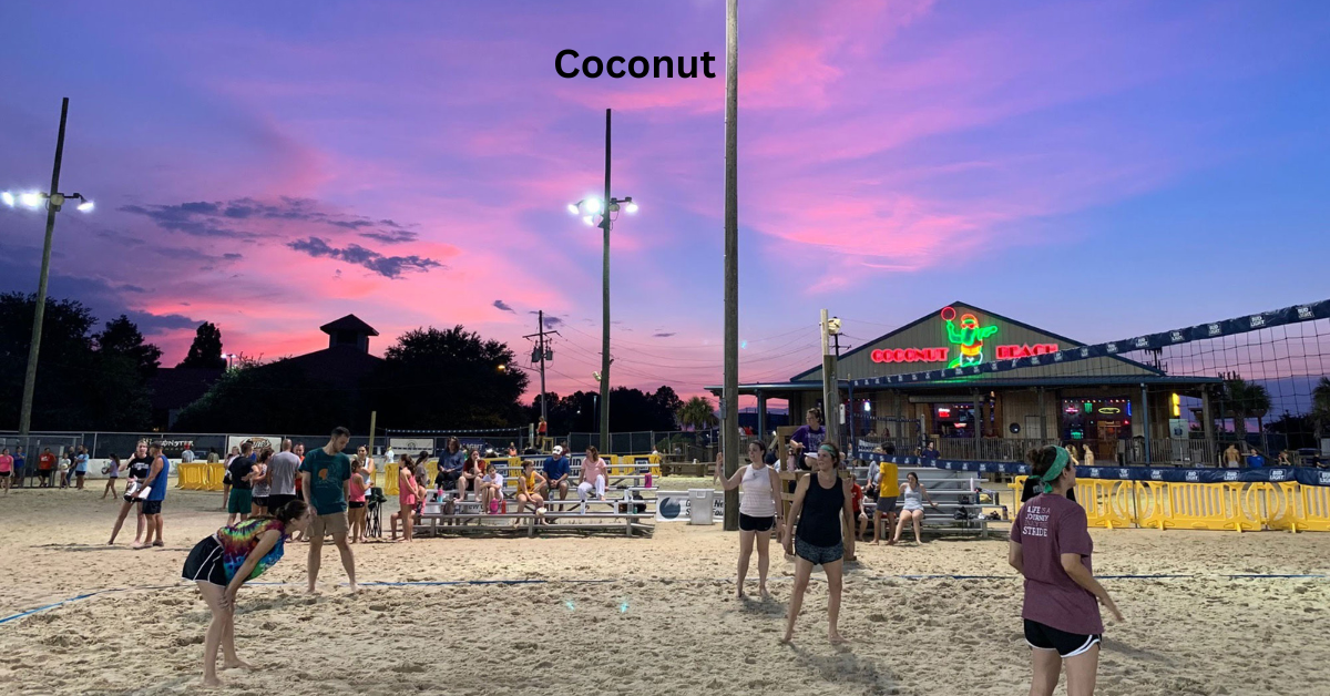 8 Best Beaches Near New Orleans for a Relaxing Getaway